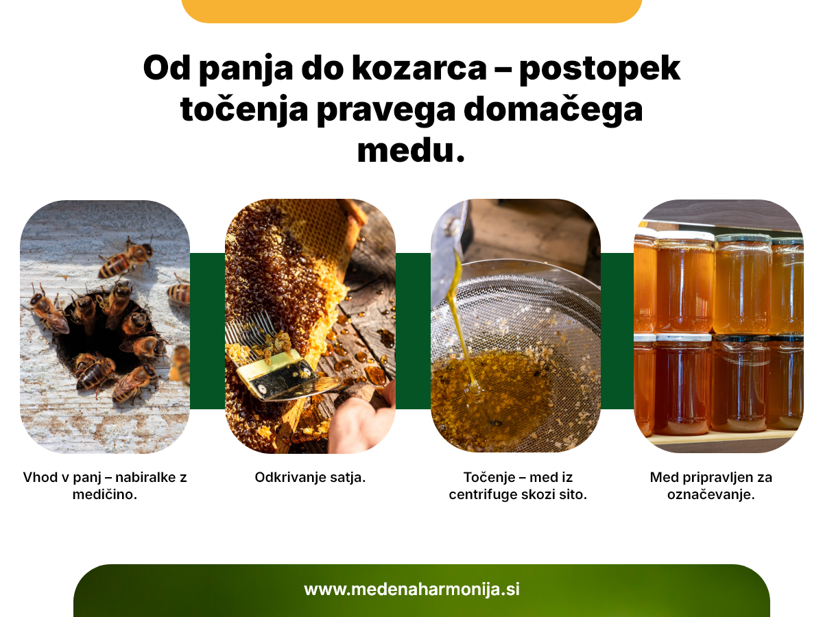 Od panja do kozarca – kako nastane pravi domači med - Čebelarstvo Tomažič